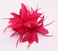 China OEM Goose Feather Flowers With Biot , Dyed Pattern Feathers Millinery Supplies for sale