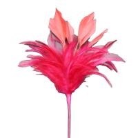 China 5*15 cm Hackle And Coque Feather Flower Mount with Wire Accessory Goose Feather for sale