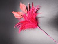 China 5*15 cm Hackle And Coque Feather Flower Mount with Wire Accessory Goose Feather for sale