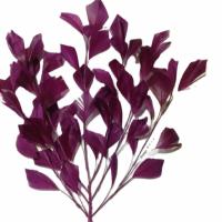 China Dyed Goose Feather Flower Mount with Wire Accessory Pattern Dyed for sale
