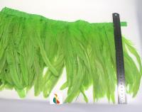 China 10-12 inch Rooster Coque Feather Fringe Trim for Quick Shipping DHL UPS FEDEX EMS TNT for sale
