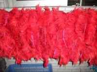 China Two Tones Colour Hackle Feather Trim With Satin Ribbon 4-6inch 1 Yard Length for sale