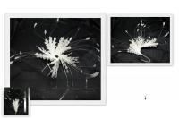 China 15*30 cm Stripped Goose Feather Flower Mount with Wire Accessory for sale