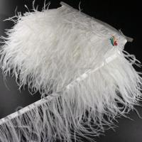 China Create a Luxurious Atmosphere with Ostrich Feather Fringe Trim and Satin Ribbon Tapes for sale