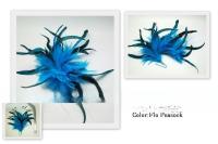 China Graduation Occasion Rooster Coque Feather Flower Mount with Wire Accessory for sale