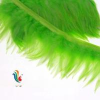 China Upgrade Your Crafts with Satin Ribbon Tapes and 4-6 Inch Saddle Heckle Feather Fringe for sale