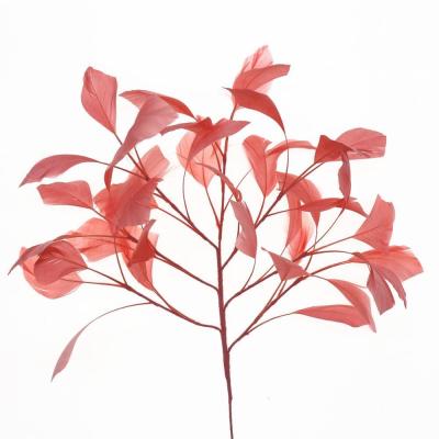 China 15x30cm Stripped Goose Flower Feather Mounts With Wire Accessory DHL Shipped for sale