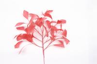 China 15x30cm Stripped Goose Flower Feather Mounts With Wire Accessory DHL Shipped for sale