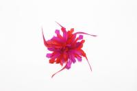 China Shipping DHL UPS FEDEX EMS TNT Biot and Goose Feather Flower Mount with Wire Accessory for sale