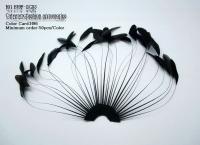 China 15x30cm Stripped Coque Feather Blower , Hand Held Feather Fans For Wedding for sale