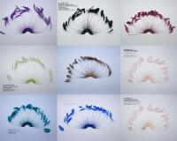 China 15x30cm Stripped Coque Feather Blower , Hand Held Feather Fans For Wedding for sale