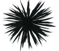 China Upgrade Your Party Decoration with 10*10 cm Goose Feather Flower Mount and Wire Accessory for sale