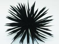 China Upgrade Your Party Decoration with 10*10 cm Goose Feather Flower Mount and Wire Accessory for sale