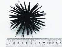 China Upgrade Your Party Decoration with 10*10 cm Goose Feather Flower Mount and Wire Accessory for sale