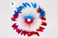 China Dyed Pattern Party Decoration Stripped Coque Feather Flower Fan With Wire Accessory for sale