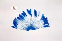 China Dyed Pattern Party Decoration Stripped Coque Feather Flower Fan With Wire Accessory for sale
