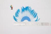 China 10x15cm Stripped Hackle Feather Fan Professional Shipping DHL UPS FEDEX EMS TNT for sale