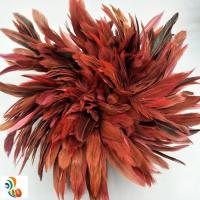China 1 Yard Length Party Decoration Strung Rooster Coque Feather with Satin Ribbon Tape for sale