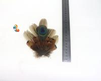 China Exquisite Dyed Peacock And Pheasant Feather Hat Pin 5x10Cm Party Supplies for sale