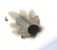 China Exquisite Dyed Peacock And Pheasant Feather Hat Pin 5x10Cm Party Supplies for sale