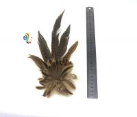 China Suit Decoration Goose Hackle Feather Brooch With Wire Accessory 10x30Cm for sale