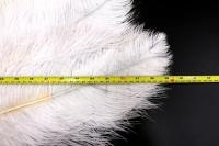 China 50-55 Cm Party Decoration Ostrich Feather Hand Fan White Purple Hot Item Dyed for sale