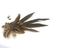 China Suit Decoration Goose Hackle Feather Brooch With Wire Accessory 10x30Cm for sale