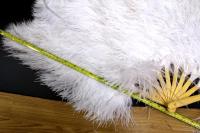 China 50-55 Cm Party Decoration Ostrich Feather Hand Fan White Purple Hot Item Dyed for sale