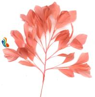 China Goose Feather Flower Party Decoration with Wire Accessory and Fast Shipping Worldwide for sale