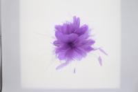 China 10*30 cm Goose Feather Flower Mount with Wire Accessory Package for sale