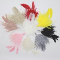 China Shipping DHL UPS FEDEX EMS TNT Chinapost Epacket Ostrich Feather Flower Mount with Wire Accessory for sale