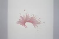 China 10*15 cm Hair Decoration Party Stripped Coque Feather and Goose Feather Flower Mount for sale