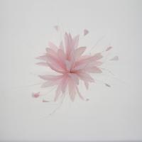 China 10*15 cm Hair Decoration Party Stripped Coque Feather and Goose Feather Flower Mount for sale