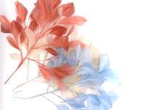China Create a Stunning Centerpiece with Goose Feather Flower Mount and Wire Accessory for sale