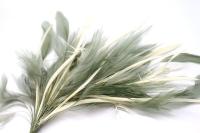 China Shipping DHL UPS FEDEX EMS TNT Coque and Hackle Feather Flower Mount with Wire Accessory for sale