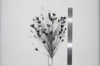 China 15*30 cm Stripped Goose Feather Flower Mount with Wire Accessory UPS DHL EMS FEDEX TNT Shipping Way for sale