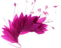 China Millinery Supplies Dyed Pattern Goose Feather Flower Mount with Wire Accessory 15*30 cm for sale