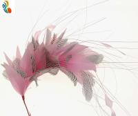 China Event Party Supplies Silver Pheasant Feather Flower Mount with Wire Accessory for sale