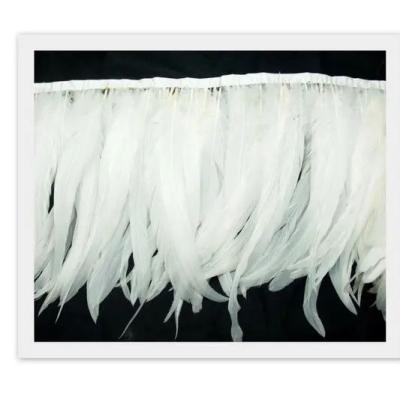 China Shipping DHL/UPS/FEDEX/EMS/TNT White Coque Feather Fringe Trim with Satin Ribbon Tape for sale