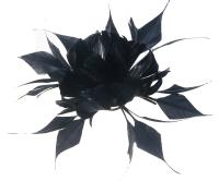 China Eye-catching Stripped Goose Feather Headwear Fascinator with Wire Accessory for sale