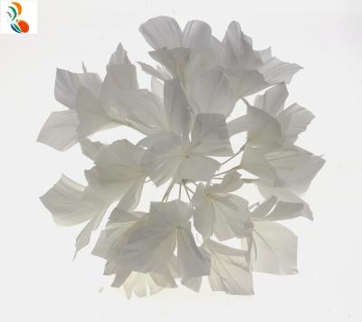 China Shipping via Fedex Party Decoration Stripped Goose Feather Flower Mount with Wire Accessory for sale