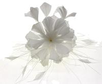 China 10*15 cm Stripped Goose Feather Flower Mount with Chicken Feather for sale