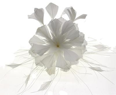 China 10*15 cm Stripped Goose Feather Flower Mount with Chicken Feather for sale