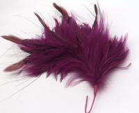 China 15*30 cm Party Decoration Feather Headwear with Hackle and Lady Amherst Flower Mount for sale