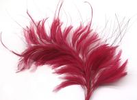 China 15x30CM Burnt Coque And Hackle Feather Mounts Flower Feather Headwear for sale