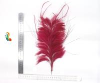 China 15x30CM Burnt Coque And Hackle Feather Mounts Flower Feather Headwear for sale