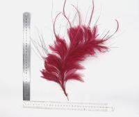 China 15x30CM Burnt Coque And Hackle Feather Mounts Flower Feather Headwear for sale