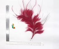 China 15x30CM Burnt Coque And Hackle Feather Mounts Flower Feather Headwear for sale