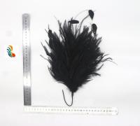China 15*30 cm Ostrich Feather Plumes Flower Mount with Wire Accessory in Dyed Pattern for sale