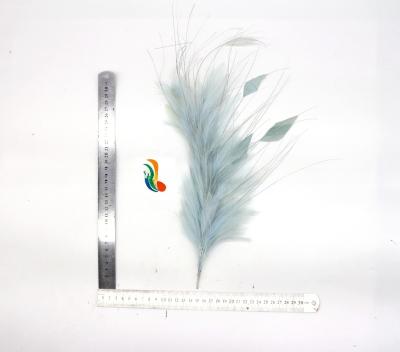 China Create Stunning Party Decor with Our Chicken Feather Flower Mount and Wire Accessory for sale